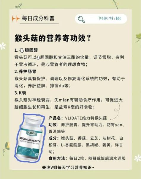 猴头菇的营养价值及功效与作用_猴头菇怎么吃养胃-第2张图片-山城妙识 猴头菇的营养价值及功效与作用_猴头菇怎么吃养胃-第2张图片-山城妙识