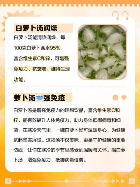 白萝卜汤的功效与禁忌_什么人不能喝-第1张图片-山城妙识