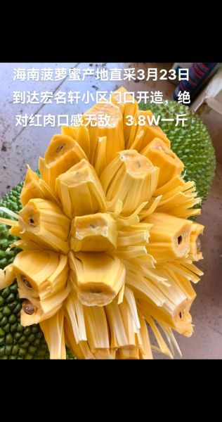 红肉菠萝蜜的营养价值_红肉菠萝蜜的功效与作用-第3张图片-山城妙识 红肉菠萝蜜的营养价值_红肉菠萝蜜的功效与作用-第3张图片-山城妙识