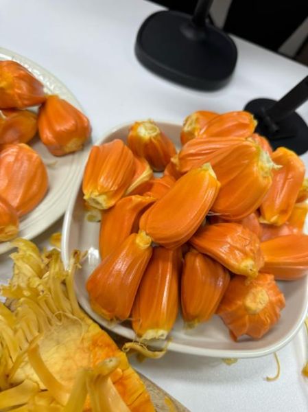 红肉菠萝蜜的营养价值_红肉菠萝蜜的功效与作用-第1张图片-山城妙识 红肉菠萝蜜的营养价值_红肉菠萝蜜的功效与作用-第1张图片-山城妙识