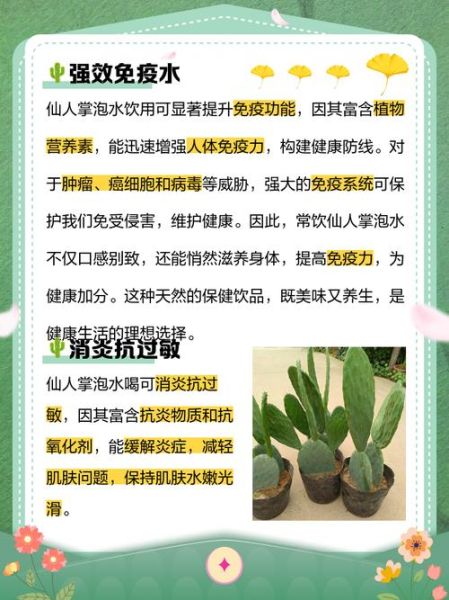 长期服用仙人掌的危害_有哪些副作用-第1张图片-山城妙识