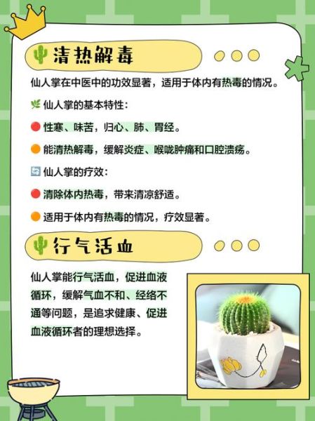 长期服用仙人掌的危害_有哪些副作用-第2张图片-山城妙识