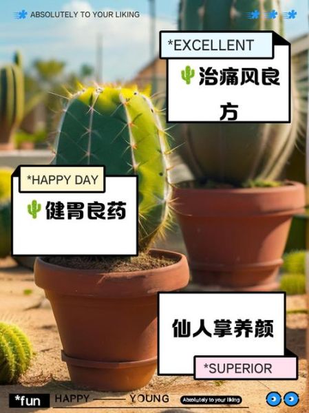 长期服用仙人掌的危害_有哪些副作用-第3张图片-山城妙识