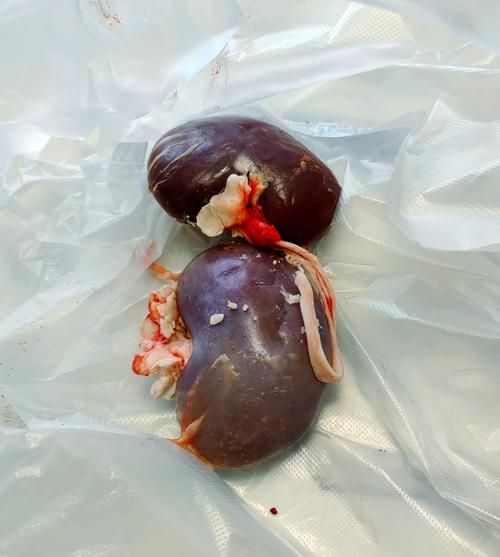 炒羊腰子怎么做_羊腰子去腥技巧-第2张图片-山城妙识