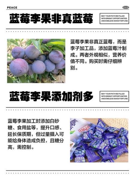 蓝莓李果的功效与作用_蓝莓李果适合什么人吃-第1张图片-山城妙识