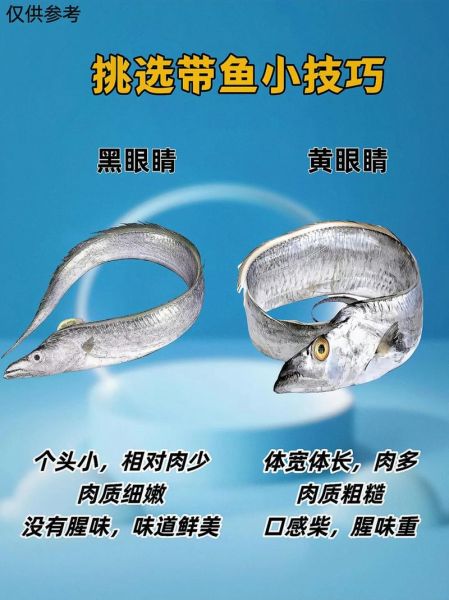 带鱼是鱼吗_带鱼属于什么鱼类-第3张图片-山城妙识