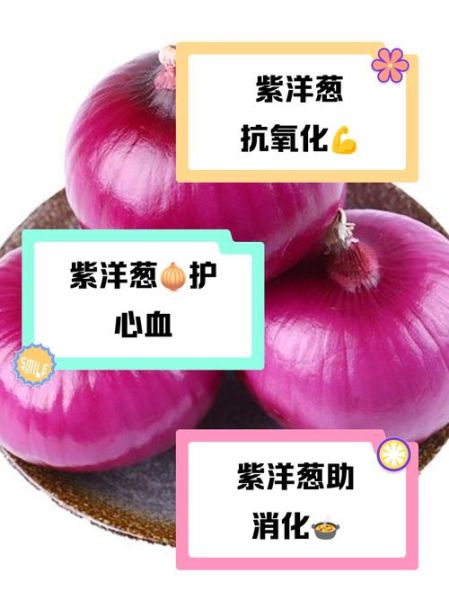 紫洋葱的功效与作用_紫洋葱怎么吃最营养-第3张图片-山城妙识