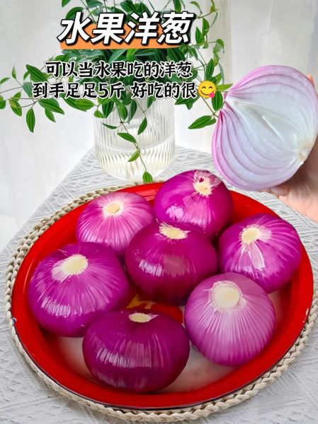 紫洋葱的功效与作用_紫洋葱怎么吃最营养-第2张图片-山城妙识