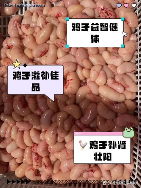 鸡子是什么东西_鸡子是不是鸡蛋-第1张图片-山城妙识