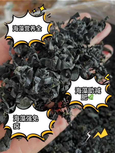 海藻菜的功效与作用_怎么吃最健康-第1张图片-山城妙识