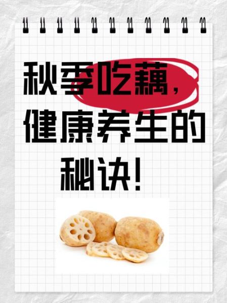 女人吃藕有什么好处_女人吃藕能减肥吗-第1张图片-山城妙识 女人吃藕有什么好处_女人吃藕能减肥吗-第1张图片-山城妙识