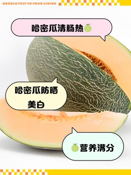哈密瓜籽的功效与作用_哈密瓜籽能吃吗-第2张图片-山城妙识
