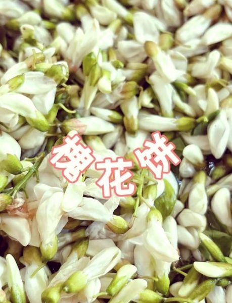 槐花饼的做法大全图解_槐花饼怎么做才松软-第1张图片-山城妙识 槐花饼的做法大全图解_槐花饼怎么做才松软-第1张图片-山城妙识