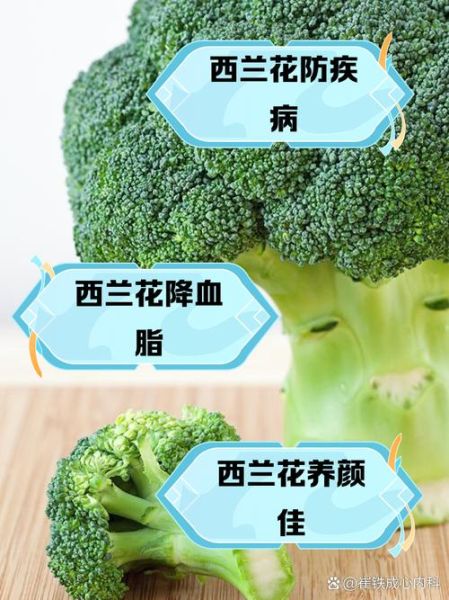 西兰花营养价值_西兰花功效与作用-第3张图片-山城妙识