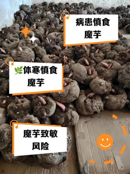 吃魔芋一个月瘦30斤_真的假的-第3张图片-山城妙识