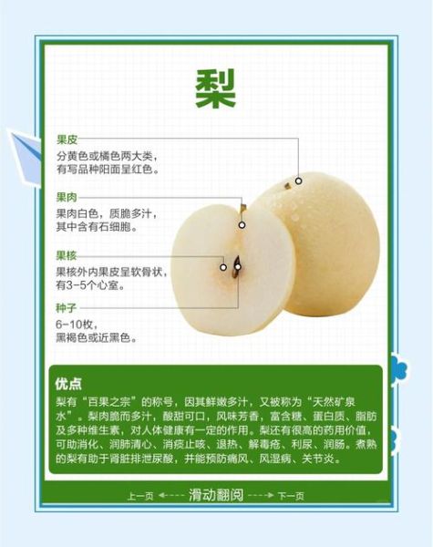 梨子的功效与作用及禁忌_哪些人不能吃梨子-第1张图片-山城妙识