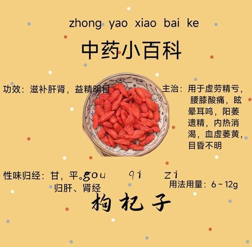 枸杞什么时候吃最补肾_枸杞补肾最佳时间-第3张图片-山城妙识