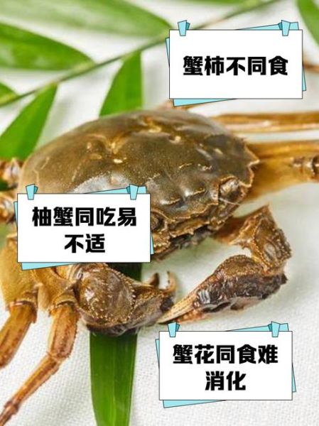 螃蟹不能和什么食物同食_吃螃蟹的禁忌有哪些-第1张图片-山城妙识