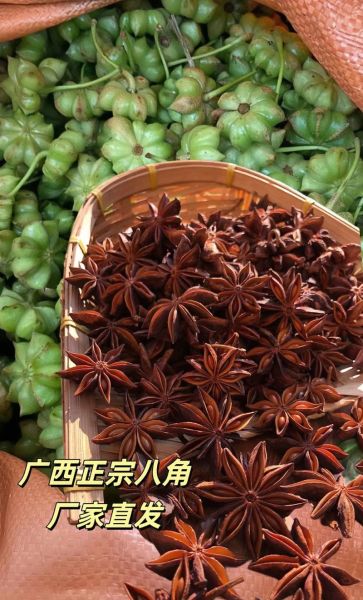 八角产地哪里最出名_广西八角为什么品质最好-第1张图片-山城妙识