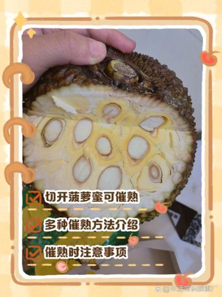 菠萝蜜打开后没熟怎么处理_如何催熟菠萝蜜-第3张图片-山城妙识