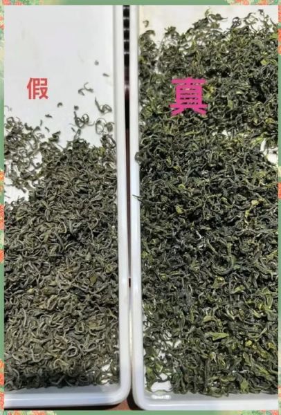 绿茶婊是什么意思_如何识别绿茶婊-第3张图片-山城妙识 绿茶婊是什么意思_如何识别绿茶婊-第3张图片-山城妙识