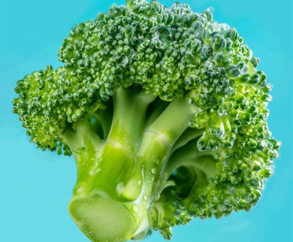 补肾的蔬菜有哪些_肾虚吃什么蔬菜好-第2张图片-山城妙识 补肾的蔬菜有哪些_肾虚吃什么蔬菜好-第2张图片-山城妙识