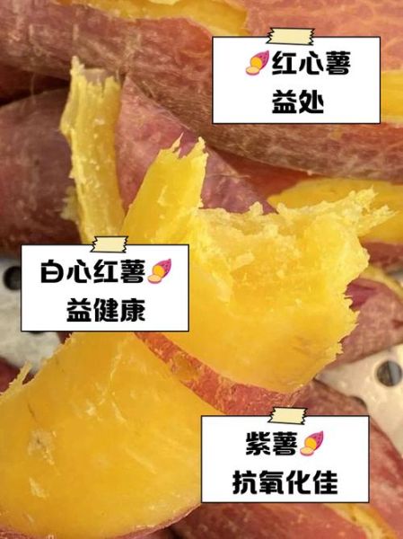 减肥期间吃红薯会发胖吗_红薯热量高吗-第3张图片-山城妙识 减肥期间吃红薯会发胖吗_红薯热量高吗-第3张图片-山城妙识