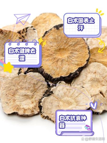 生白术的功效与作用_生白术能健脾祛湿吗-第3张图片-山城妙识