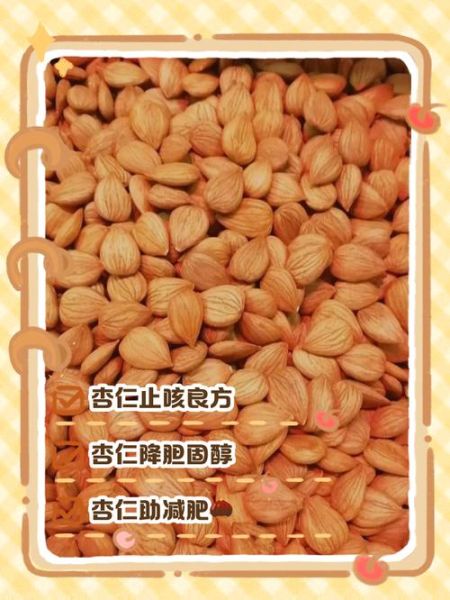 山杏仁的功效与作用_山杏仁怎么吃最好-第3张图片-山城妙识 山杏仁的功效与作用_山杏仁怎么吃最好-第3张图片-山城妙识
