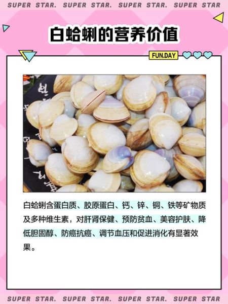 白蛤蜊怎么清洗_白蛤蜊怎么吐沙最干净-第3张图片-山城妙识 白蛤蜊怎么清洗_白蛤蜊怎么吐沙最干净-第3张图片-山城妙识