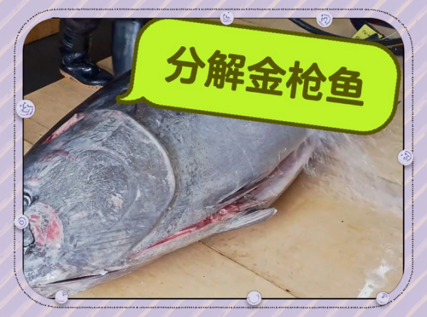 金枪鱼灼伤是什么意思_金枪鱼灼伤怎么处理-第1张图片-山城妙识