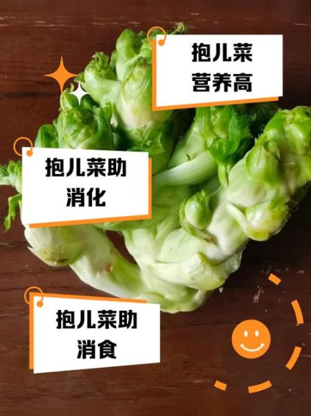 抱儿菜怎么做好吃_抱儿菜的家常做法大全-第1张图片-山城妙识