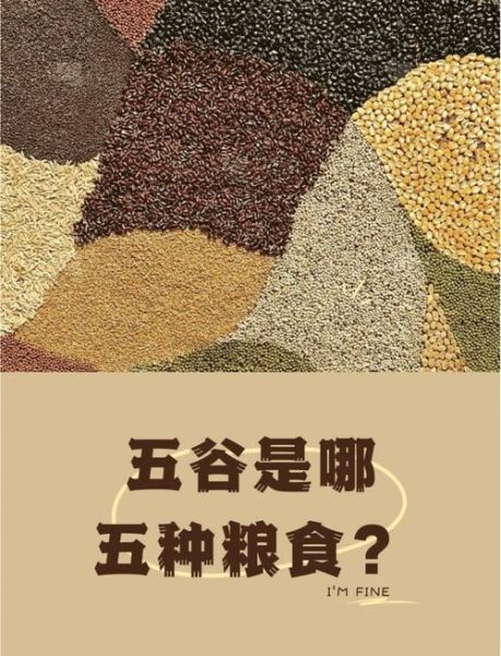 五谷是哪五种粮食_五谷具体指什么-第2张图片-山城妙识 五谷是哪五种粮食_五谷具体指什么-第2张图片-山城妙识