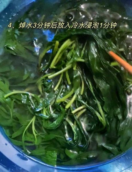 清炒马兰头要焯水吗_焯水时间多久-第3张图片-山城妙识 清炒马兰头要焯水吗_焯水时间多久-第3张图片-山城妙识