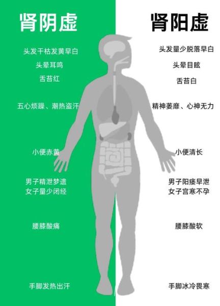 肾虚吃什么补肾虚食谱推荐_肾虚食补一周怎么安排-第3张图片-山城妙识 肾虚吃什么补肾虚食谱推荐_肾虚食补一周怎么安排-第3张图片-山城妙识