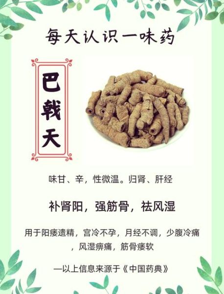 巴戟天的功效与作用_巴戟天的禁忌有哪些-第1张图片-山城妙识 巴戟天的功效与作用_巴戟天的禁忌有哪些-第1张图片-山城妙识