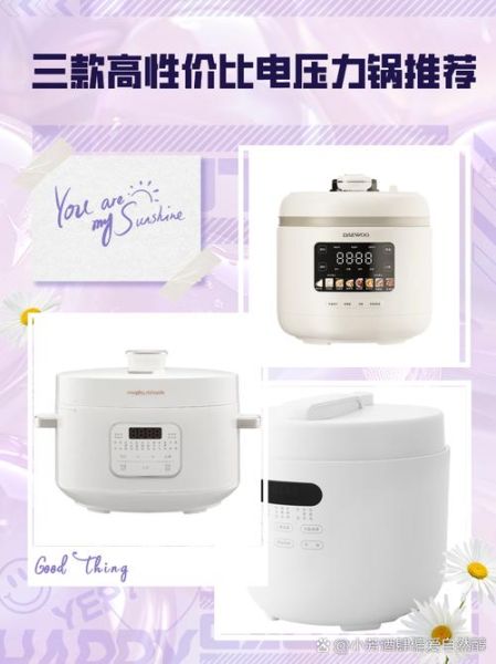 什么牌子的电压力锅最好最耐用_电压力锅哪个品牌最耐用-第3张图片-山城妙识
