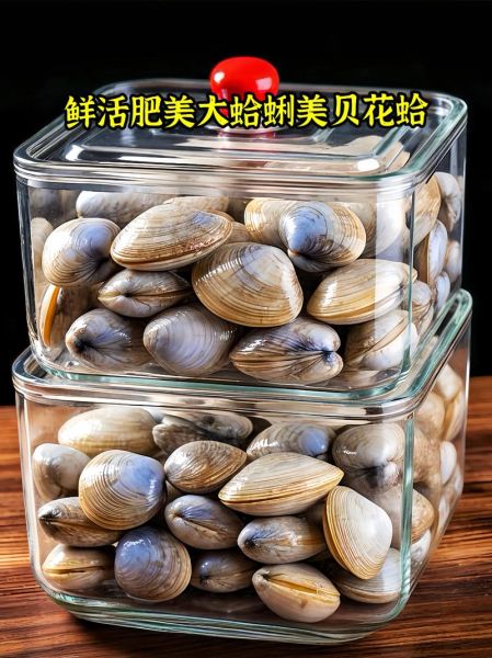 油蛤和花蛤哪个更营养_油蛤和花蛤的区别-第2张图片-山城妙识 油蛤和花蛤哪个更营养_油蛤和花蛤的区别-第2张图片-山城妙识