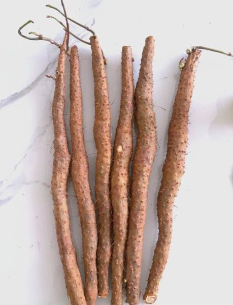 发芽的山药豆还能煮着吃吗_有毒吗-第1张图片-山城妙识