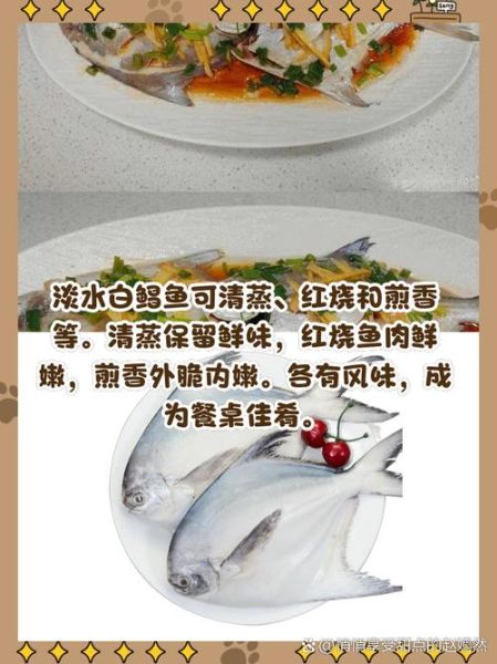 淡水白鲳鱼多少钱一斤_淡水白鲳鱼价格行情-第1张图片-山城妙识