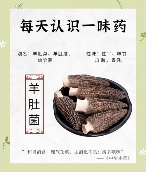 羊肚菌的功效与作用_羊肚菌的营养价值高吗-第1张图片-山城妙识