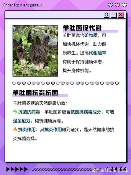 羊肚菌的功效与作用_羊肚菌的营养价值高吗-第2张图片-山城妙识