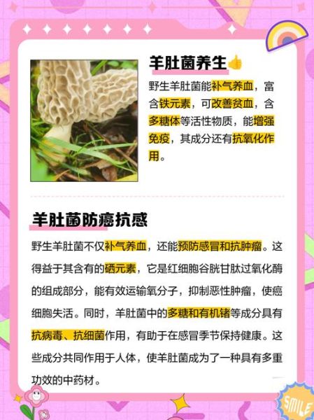 羊肚菌的功效与作用_羊肚菌的营养价值高吗-第3张图片-山城妙识