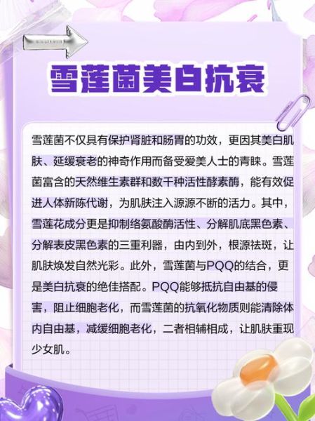 天山雪莲菌的功效与作用_天山雪莲菌怎么吃效果最好-第1张图片-山城妙识 天山雪莲菌的功效与作用_天山雪莲菌怎么吃效果最好-第1张图片-山城妙识