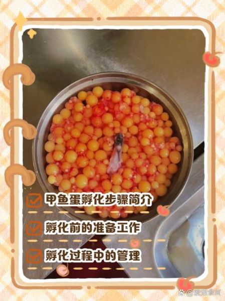 甲鱼蛋孵化需要多少天_孵化温度怎么控制-第1张图片-山城妙识