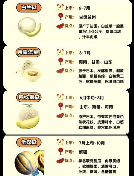 伊丽莎白瓜和哈密瓜的区别_哪个更甜更好吃-第2张图片-山城妙识 伊丽莎白瓜和哈密瓜的区别_哪个更甜更好吃-第2张图片-山城妙识