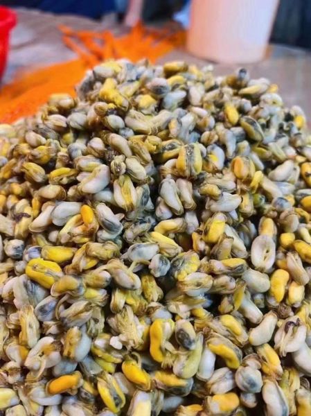 海瓜子肉怎么炒才好吃_海瓜子肉炒多久才熟-第1张图片-山城妙识