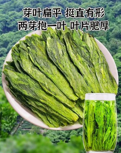 太平猴魁的功效与作用_太平猴魁适合什么人喝-第2张图片-山城妙识