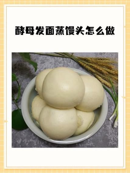 做馒头怎么发面_蒸馒头用酵母还是老面-第1张图片-山城妙识