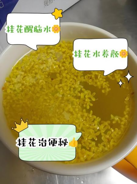 桂花泡水喝有什么好处_长期喝会不会上火-第3张图片-山城妙识